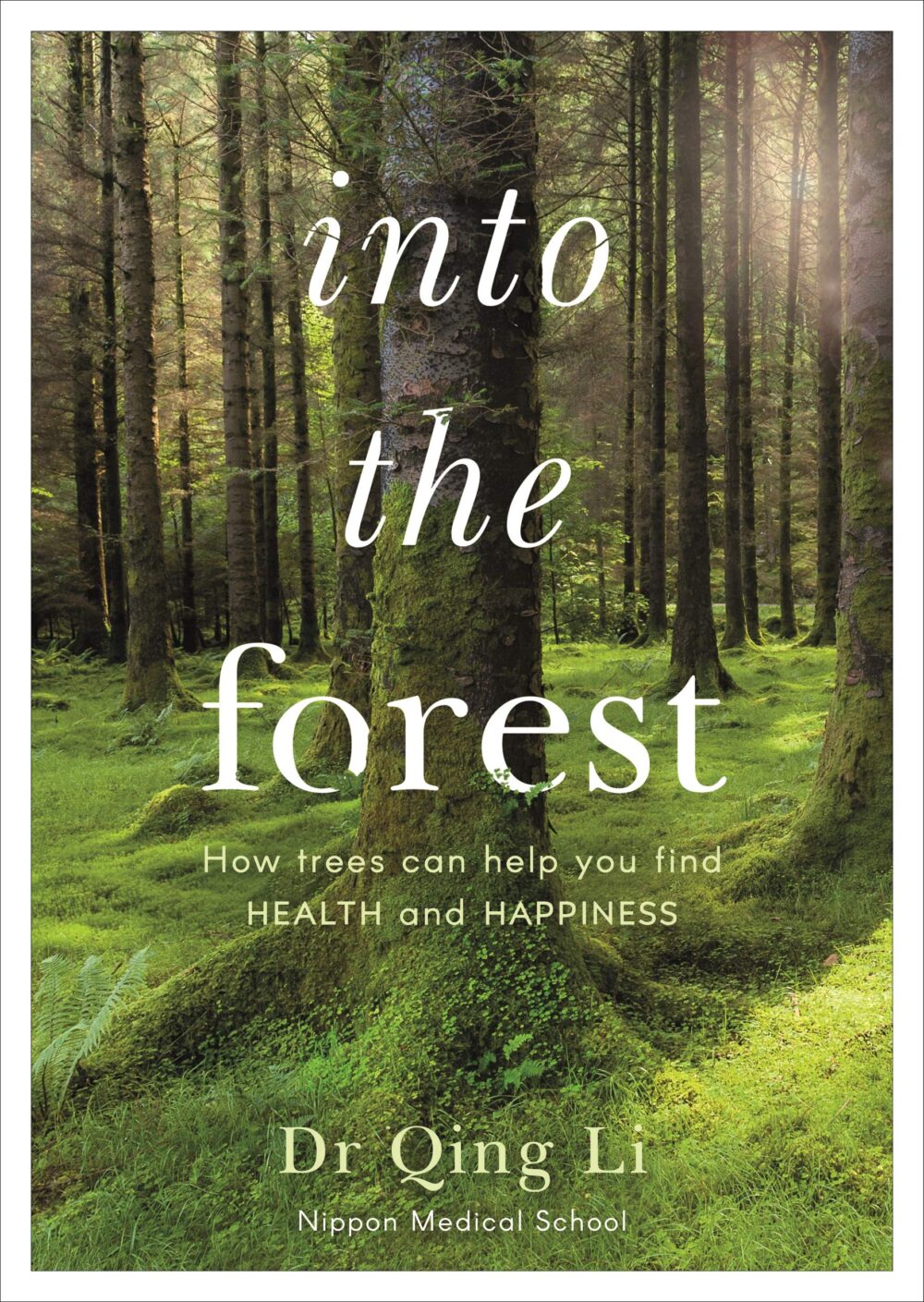 And into the forest I go.... Forest Bathing and it's benefits - The ...