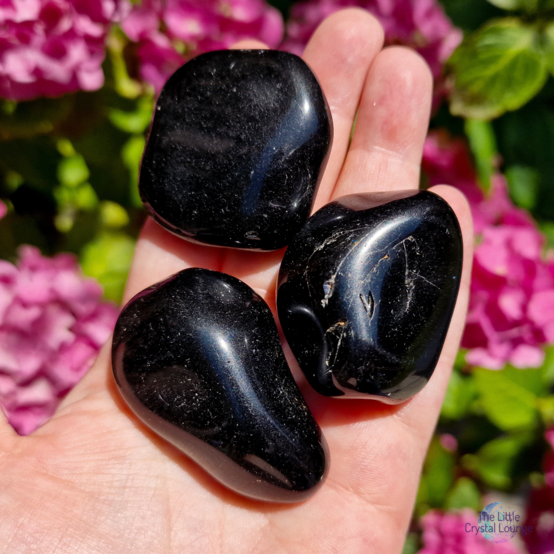 Black Obsidian - Raw Chunks - The Little Crystal Lounge